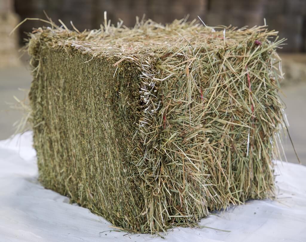Compressed and classic haystack format - Douliere Hay France