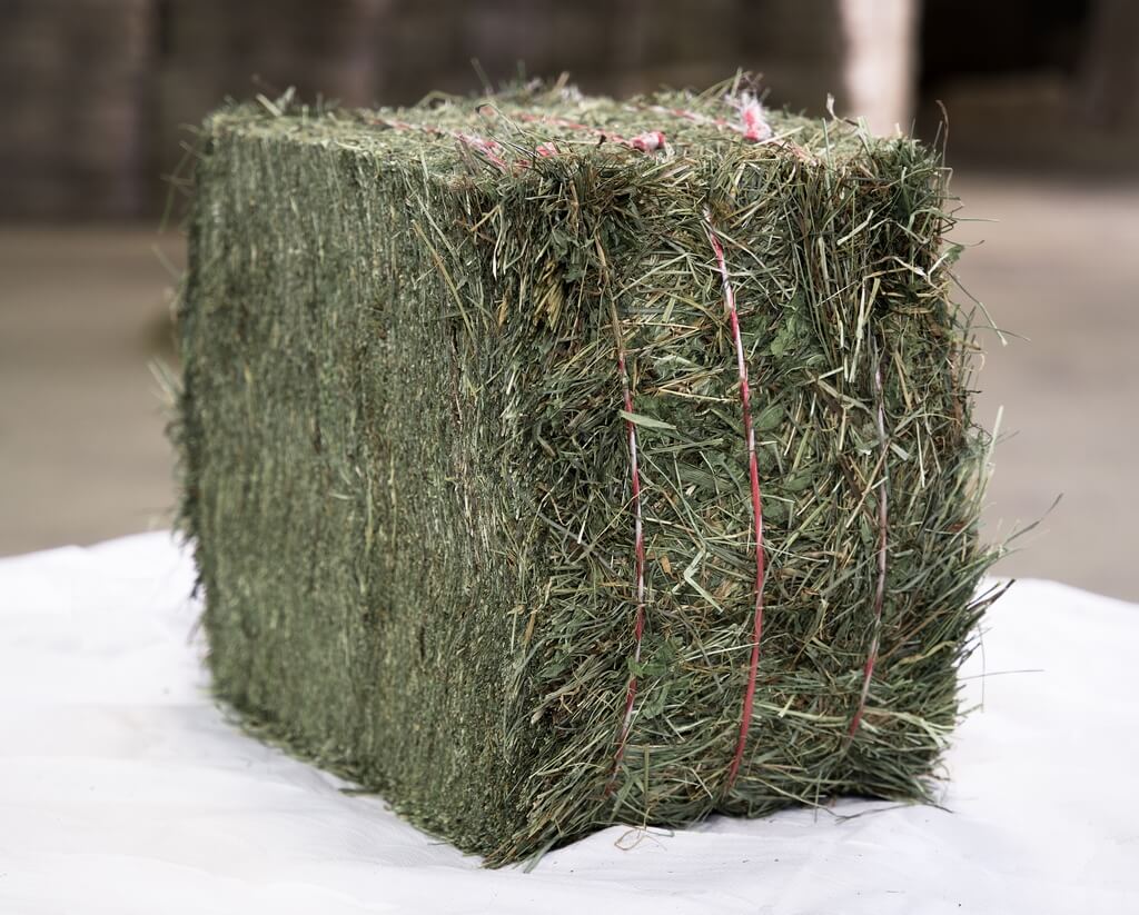 Format de botte de foin compressée et classique - Douliere Hay France