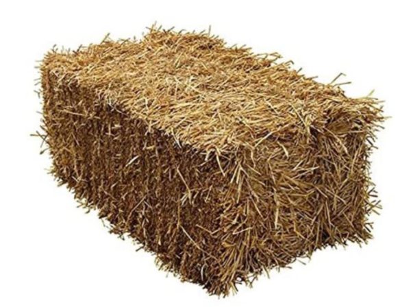 Format de botte de foin compressée et classique - Douliere Hay France